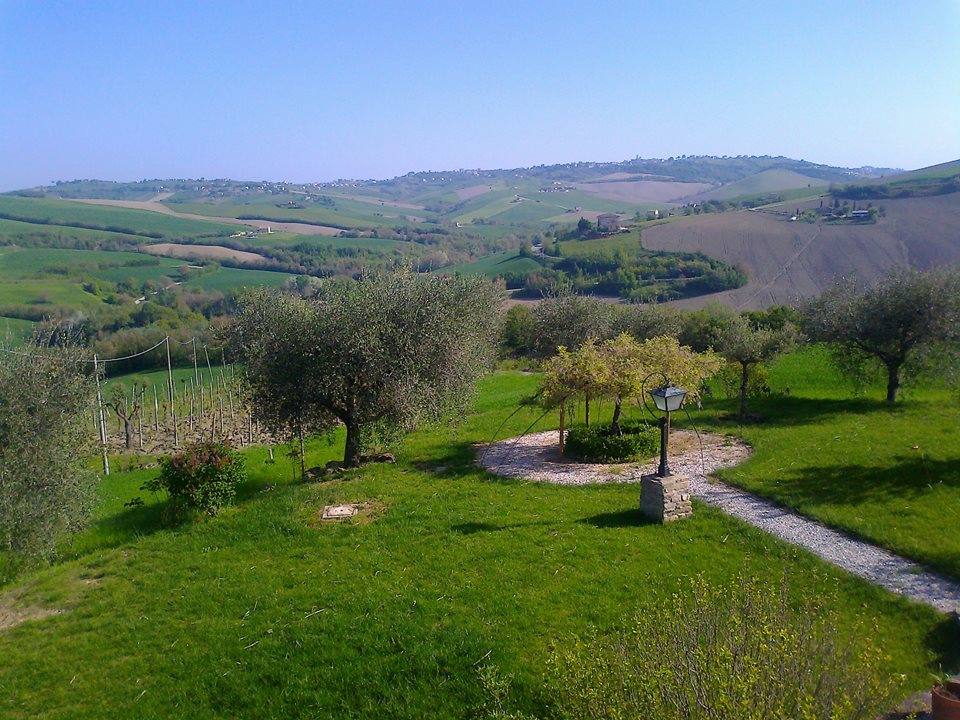 Panoramic Views Of Italian Countryside - Espatriati